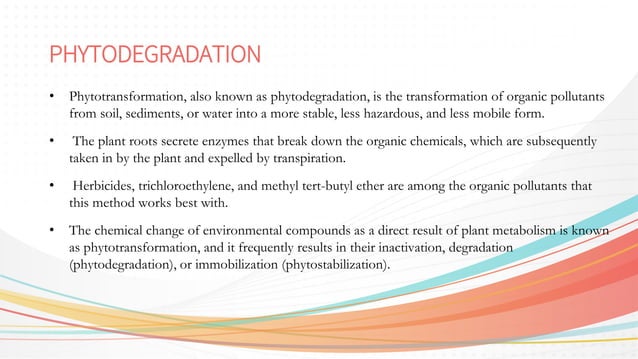 Phytoremediation of soil from pollutants | PPT