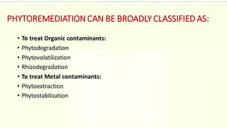 Phytoremediation-2 and its types classification | PPT