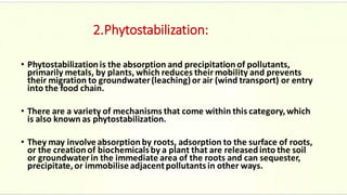 Phytoremediation-2 and its types classification | PPT