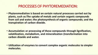 Phytoremediation-2 and its types classification | PPT