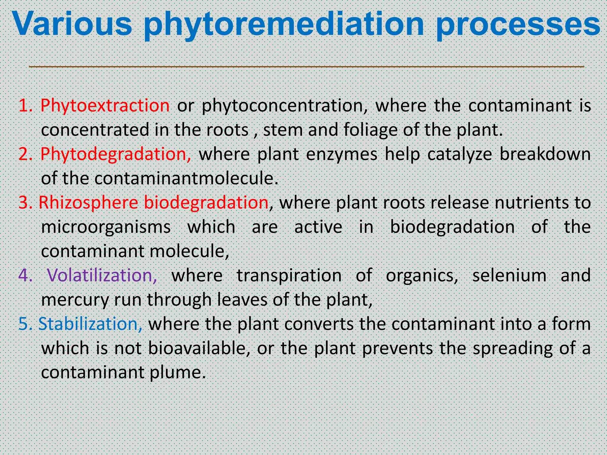 Phytoremediation of soil | PPTX