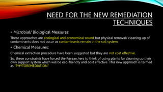 Phytoremediation: Harnessing Nature's Power with Phytoremediation | PPT