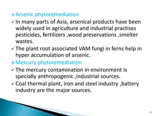 Phytoremediation of pollutants | PDF