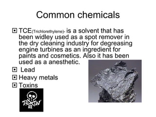 Phyto remediation ppt.pptx