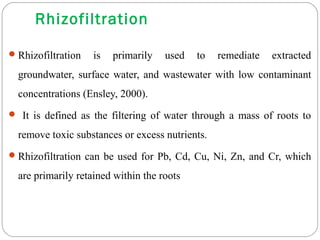 Phytoremediation tam 2013-24 | PPT