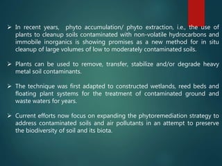 Phytoremediation vimlesh verma | PPTX