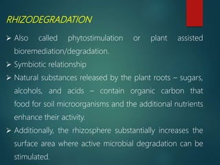 Phytoremediation vimlesh verma | PPTX