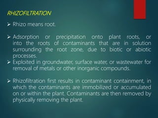 Phytoremediation vimlesh verma | PPTX