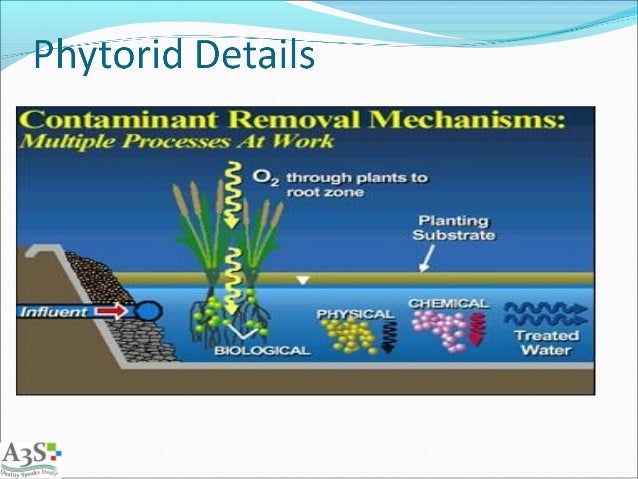 Phytorid presentation by a3 s enviro