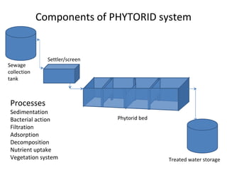 Phytorid Wastewater Treatment Technology- Decentralised & Ecosystem ...