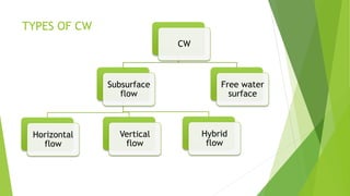 PHYTORID TREATMENT OF WASTE WATER.pptx