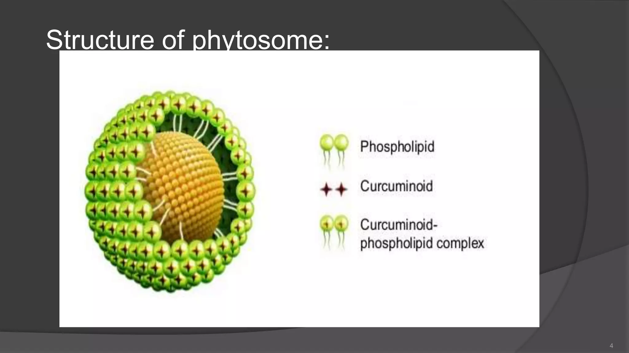 Phytosome | PPTX