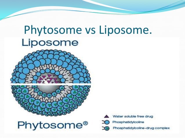 Phytosome® a novel drug delivery system based herbal formulation | PPTX