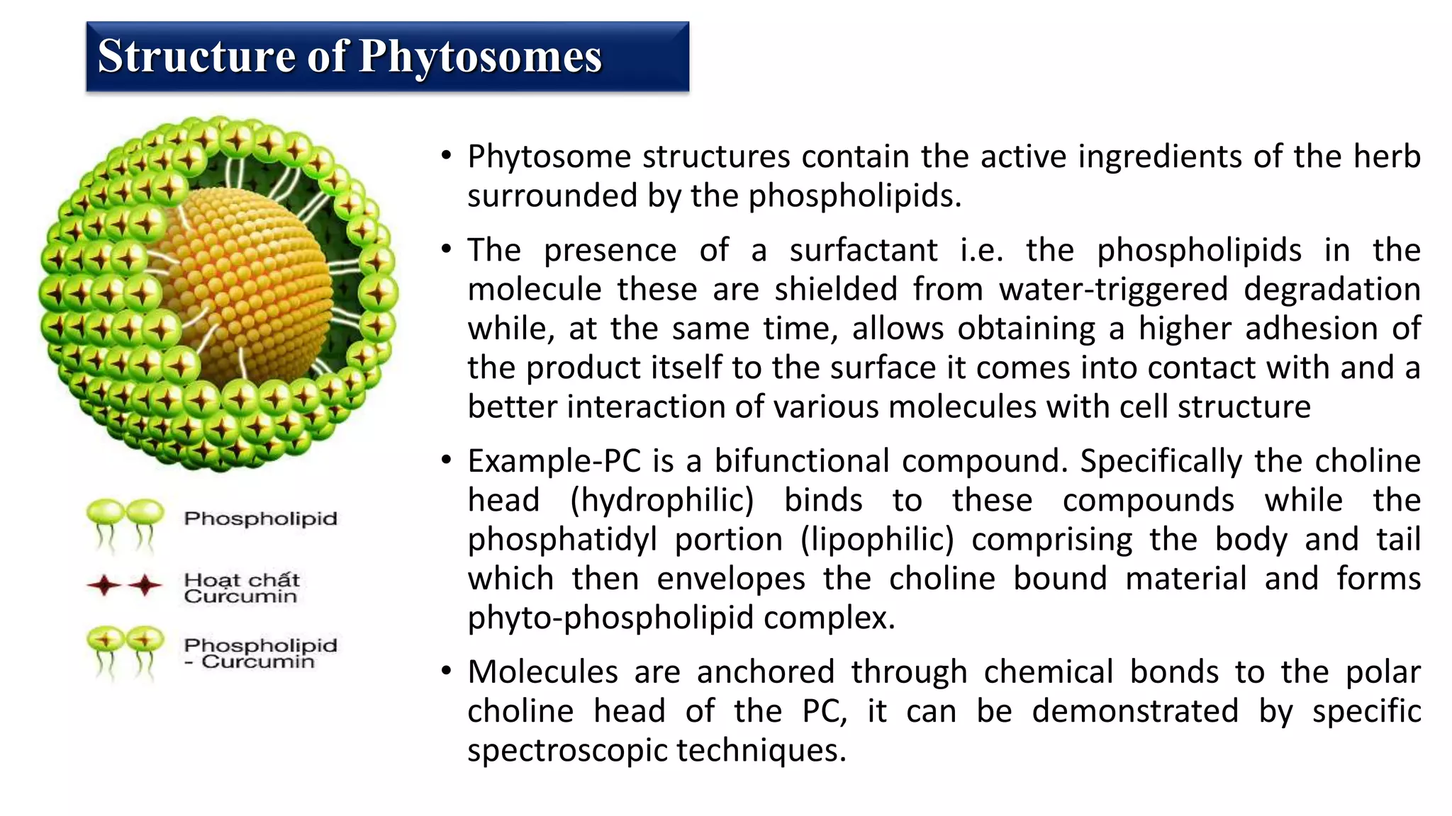 Phytosomes | PPTX