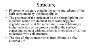 Phytosomes | PPTX