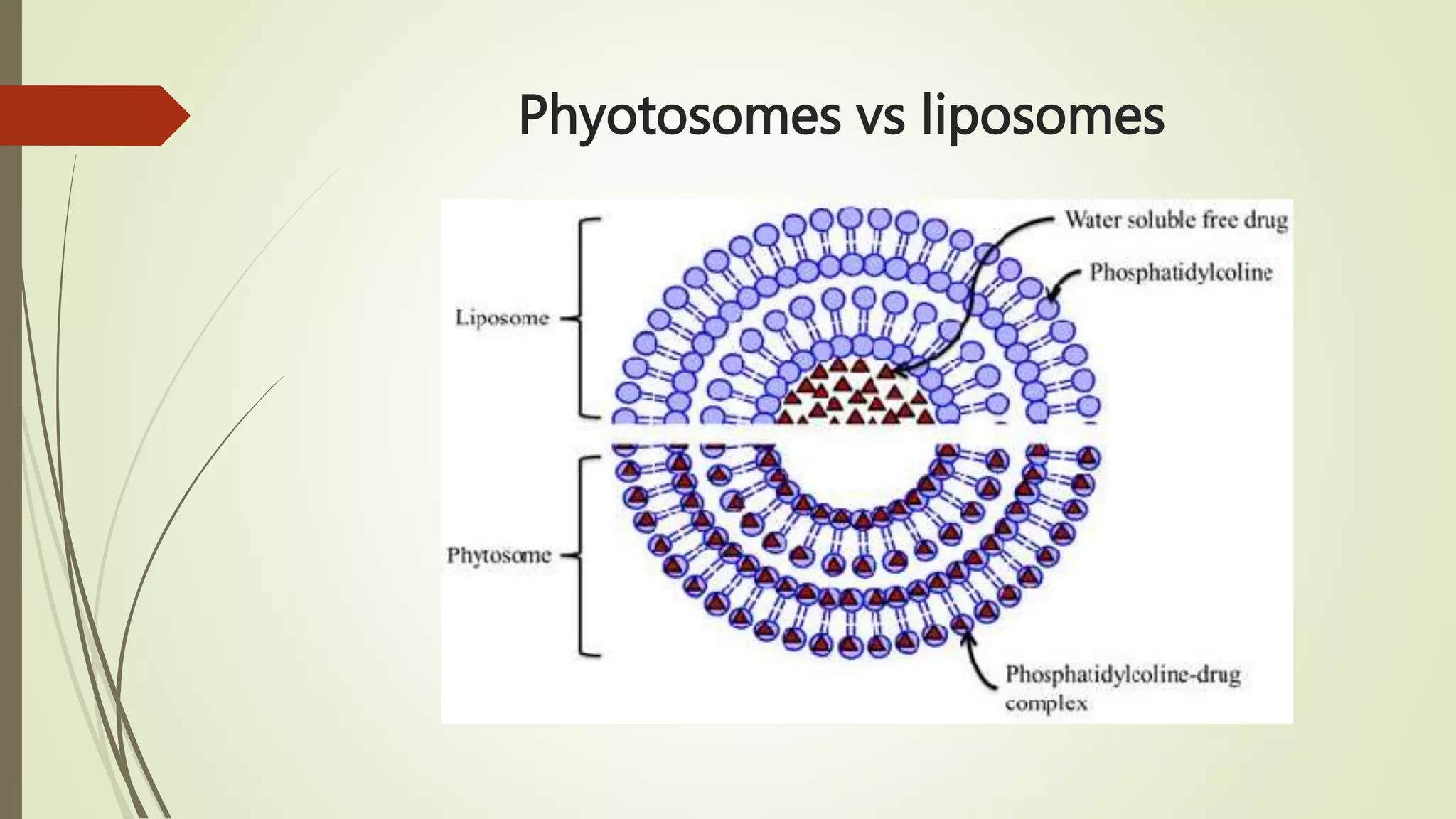 Phytosomes.pptx