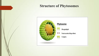 Phytosomes.pptx