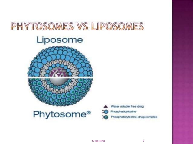 Phytosomes ppt | PPT