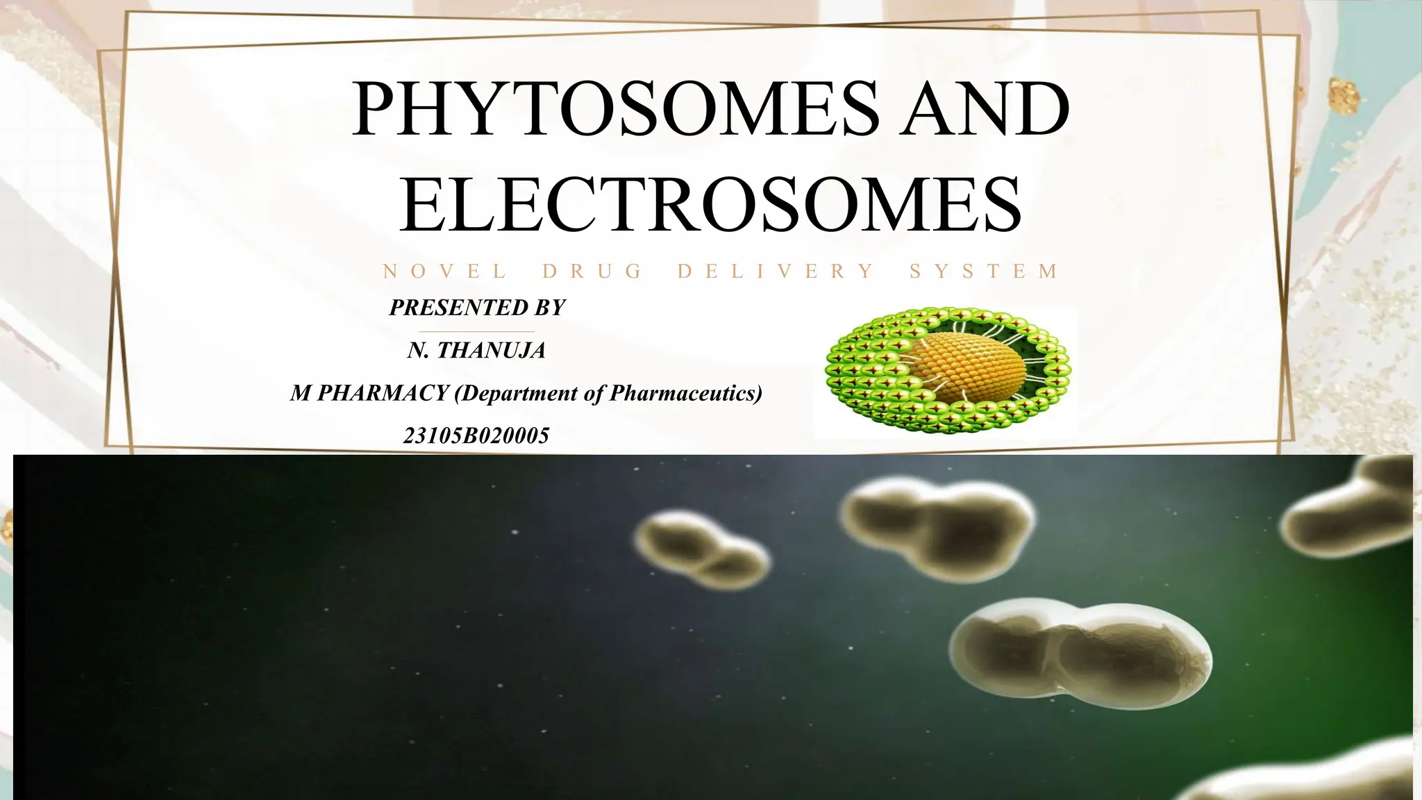 PHYTOSOMES AND ELECTROSOMES of novel drug delivery system .pptx