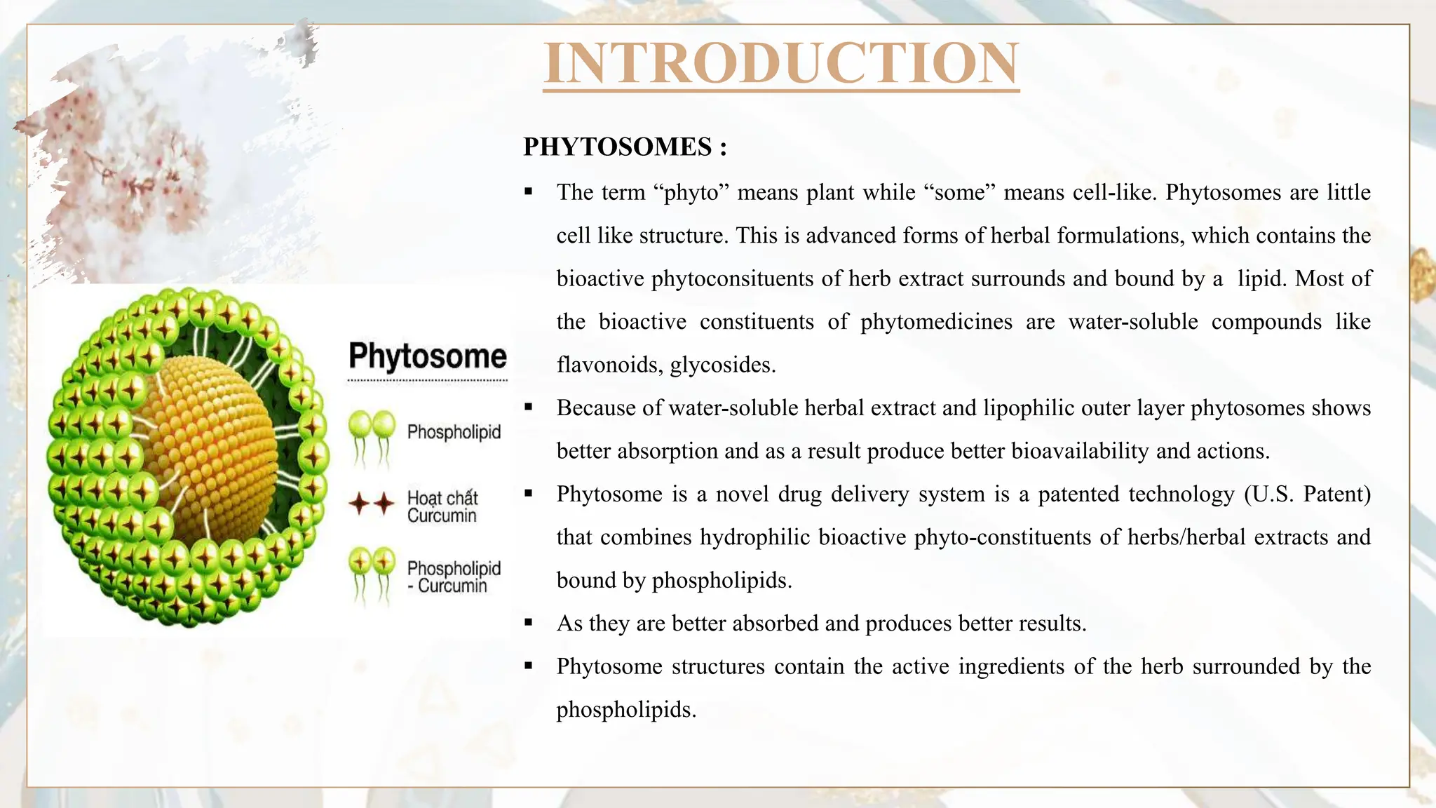 PHYTOSOMES AND ELECTROSOMES of novel drug delivery system .pptx