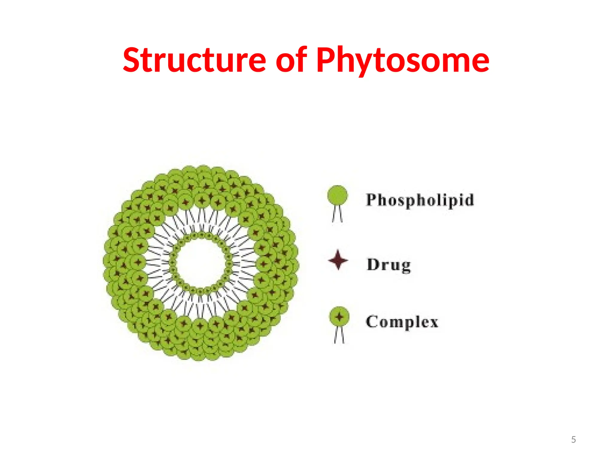 phytosome sem 2 POWER POIN PRESENTATION | PPTX