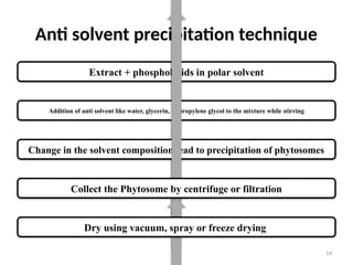 phytosome sem 2 POWER POIN PRESENTATION | PPTX
