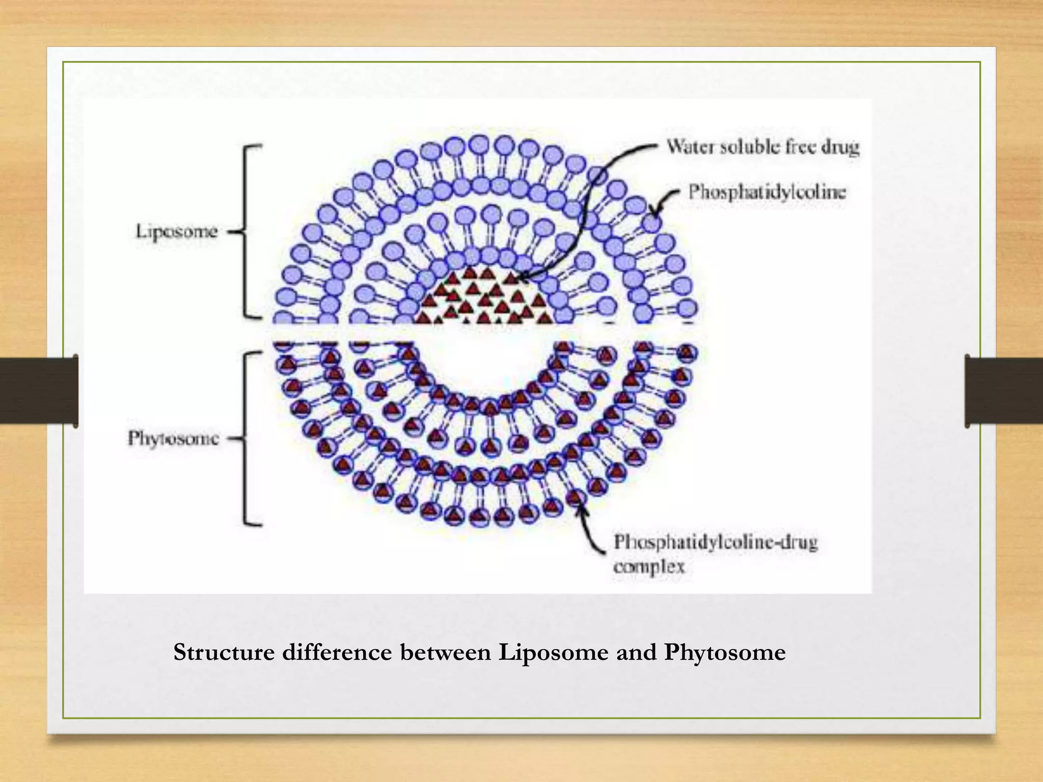Phytosomes : Preparation and Application | PPTX