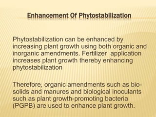 Phytostabilization