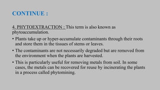 Bioremediation -phytostabilization And It's Types | PPTX