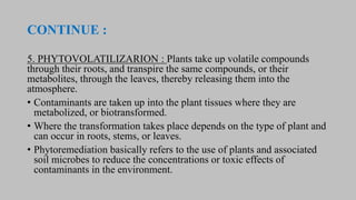 Bioremediation -phytostabilization And It's Types | PPTX