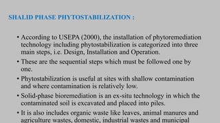 Bioremediation -phytostabilization And It's Types | PPTX
