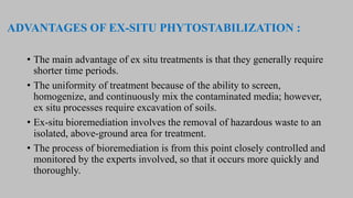 Bioremediation -phytostabilization And It's Types | PPTX
