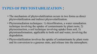 Bioremediation -phytostabilization And It's Types | PPTX