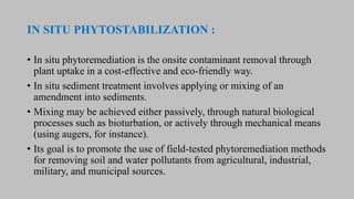 Bioremediation -phytostabilization And It's Types | PPTX