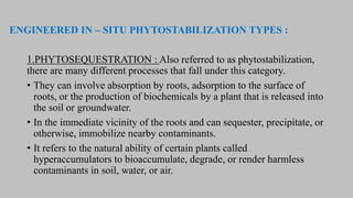 Bioremediation -phytostabilization And It's Types | PPTX