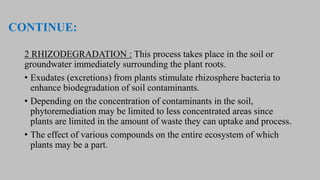Bioremediation -phytostabilization And It's Types | PPTX