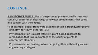 Bioremediation -phytostabilization And It's Types | PPTX