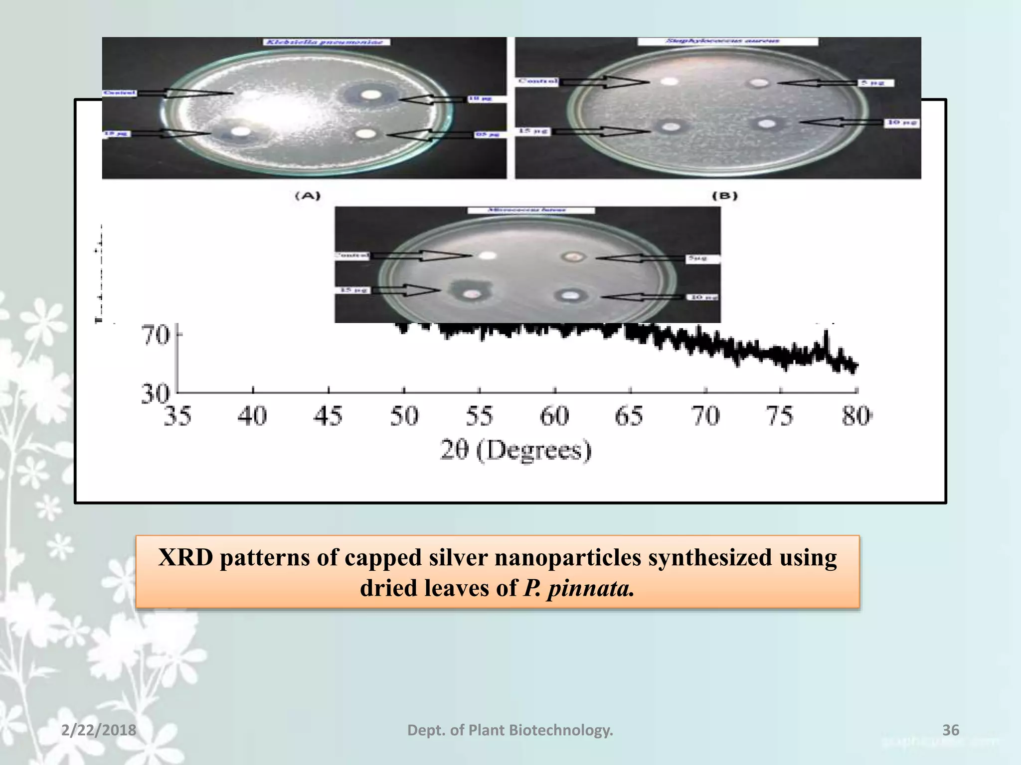 Phytosynthesis metal nanoparticle | PPT
