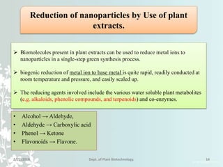 Phytosynthesis metal nanoparticle | PPTX