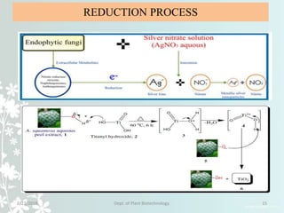 Phytosynthesis metal nanoparticle | PPTX