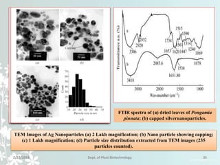 Phytosynthesis metal nanoparticle | PPTX