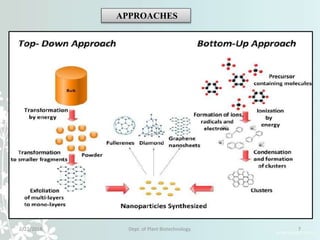 Phytosynthesis metal nanoparticle | PPTX