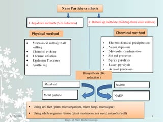 Phytosynthesis metal nanoparticle | PPTX