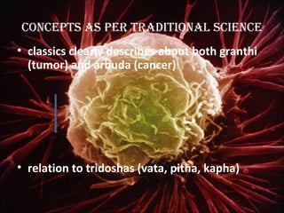 Phytotherapy on cancer | PPT