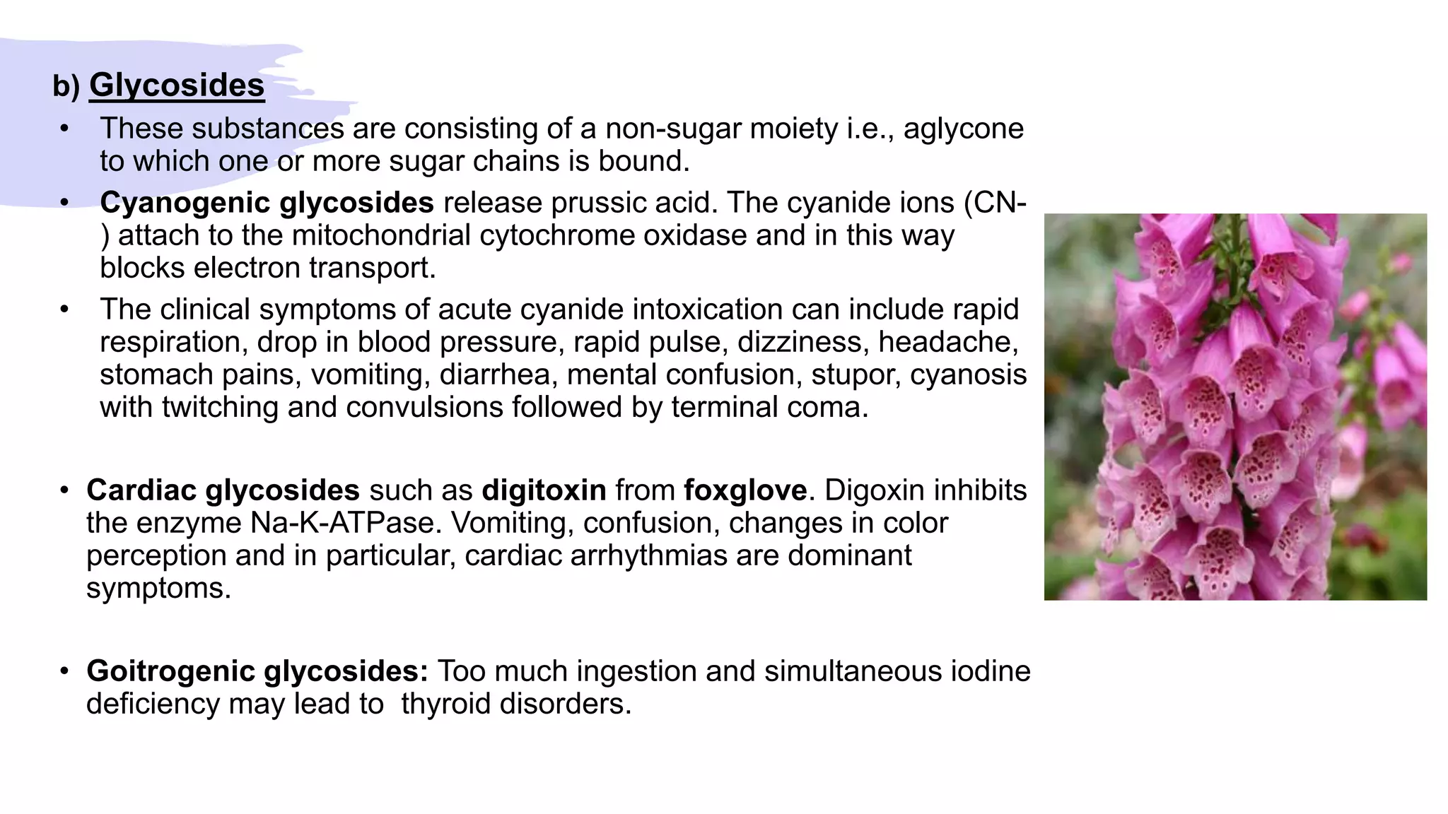 Phytotoxins.pptx | Herbs and Supplements | Alternative Medicine