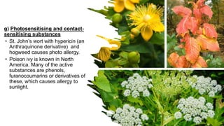 Phytotoxins.pptx