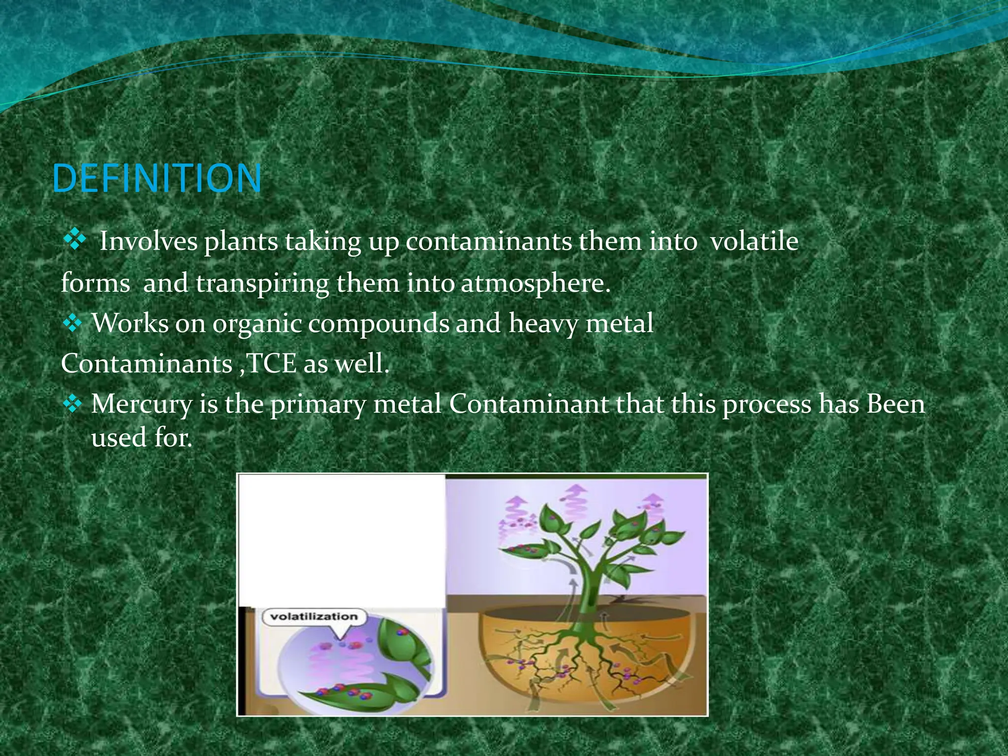 Phytovolatilization ..pptx