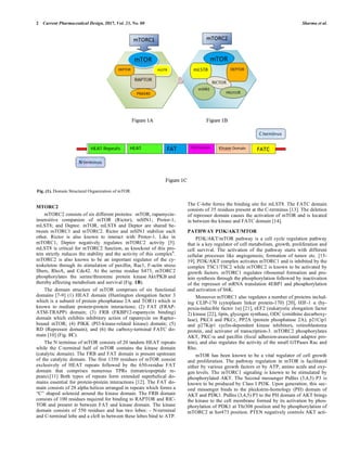 PI3KAktmTOR Intracellular Pathway and Breast Cancer Factors, Mechanism and Regulation-2017.pdf