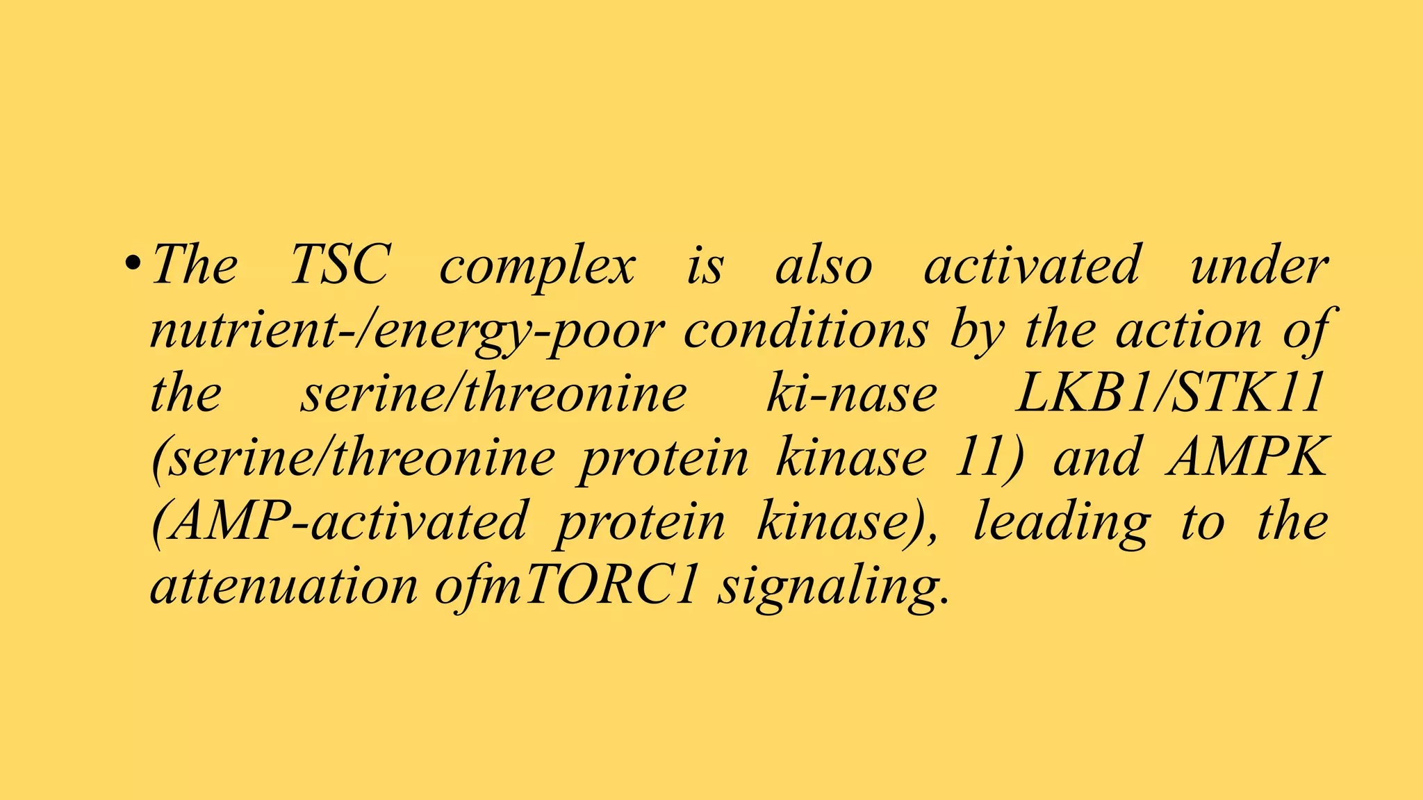 PI3 kinase pathway | PPTX | Endocrine and Metabolic Diseases | Diseases ...