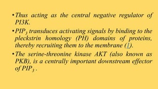 PI3 kinase pathway | PPTX